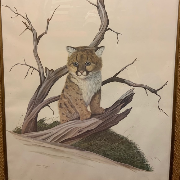 Accents | Dave Chapple 1975 Cheetah Cub Print | Poshmark